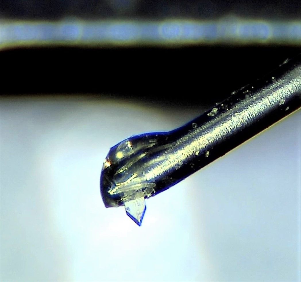 Sortiment - TechneAudio